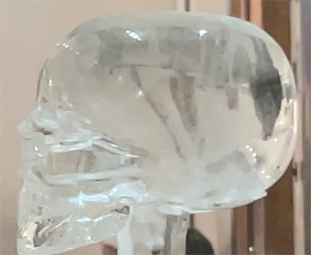 BM SKULL - British Museum