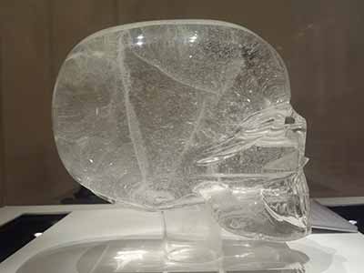 BM SKULL - British Museum